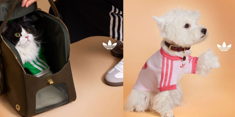 Thanks to adidas' New Pet Collection, Your Dog's Fits Will Look Harder ...
